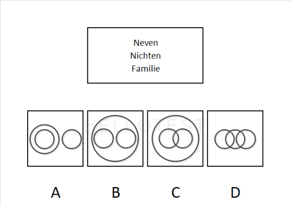 Hudson test oefenen | Gratis online oefentoetsen