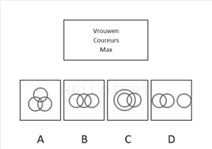 Hudson test oefenen | Gratis online oefentoetsen