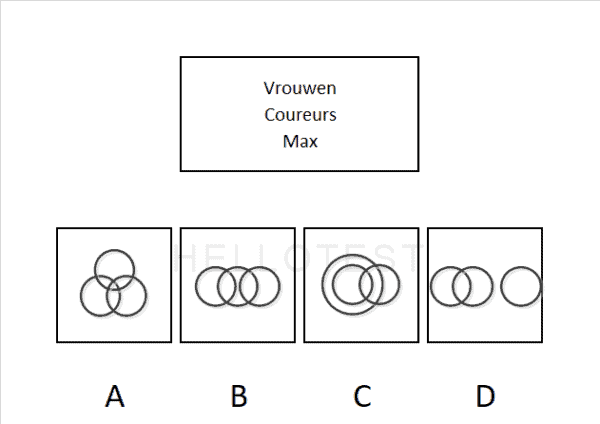 Hudson test oefenen | Gratis online oefentoetsen